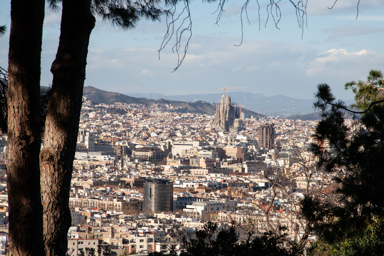Montjuïc Walking Tour: The Magical Side of Barcelona