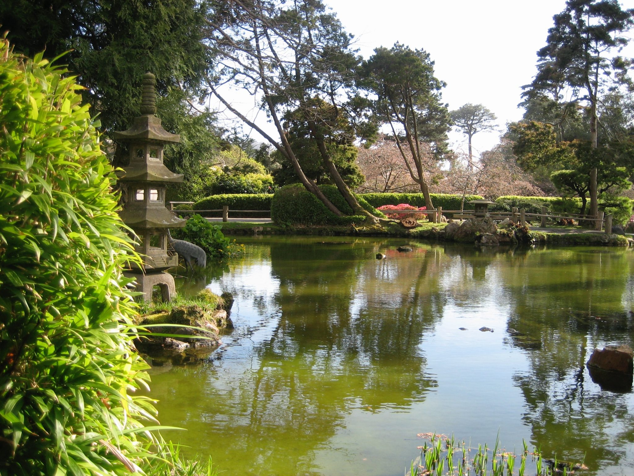 Everything To See In Golden Gate Park (And How To Do It All) – Blog