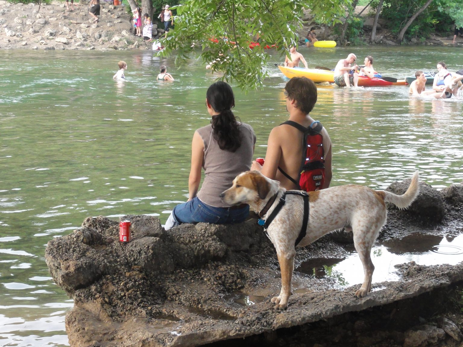 How To Visit Barton Springs: Austin’s Favorite Swimming Hole – Blog