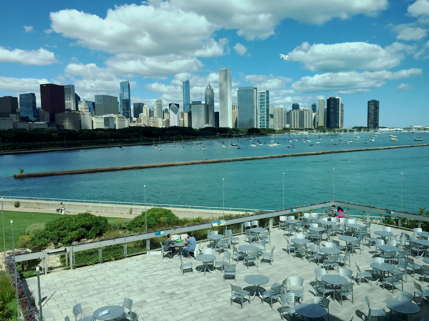 10 Things To Do in Chicago During the Summer – Blog
