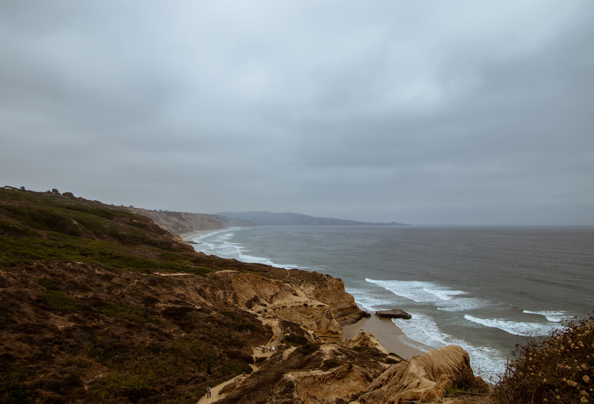 What To Do at La Jolla’s Torrey Pines State Natural Reserve – Blog