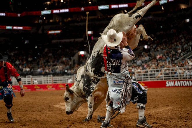 Cowboy Culture: Your Guide to the San Antonio Rodeo Plus Year-Round ...