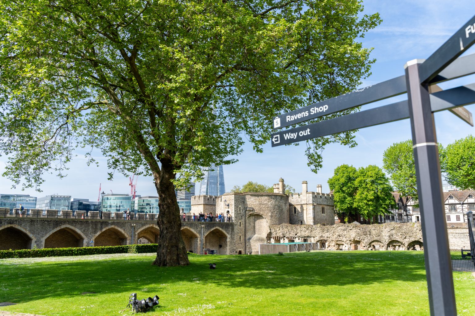 All About the Ravens at the Tower of London – Blog