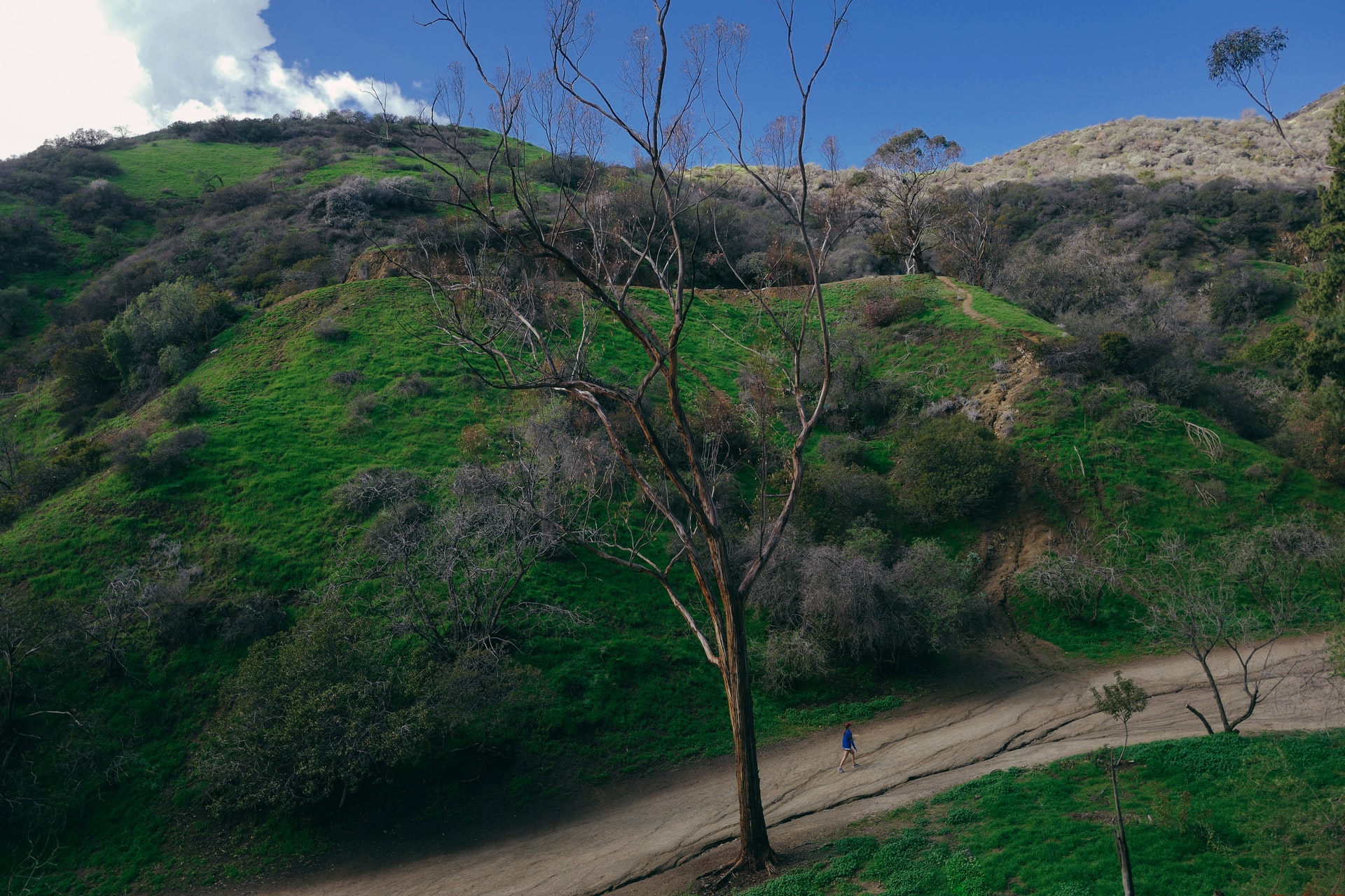 4 Reasons to Hit Runyon Canyon Park While Visiting LA – ExperienceFirst