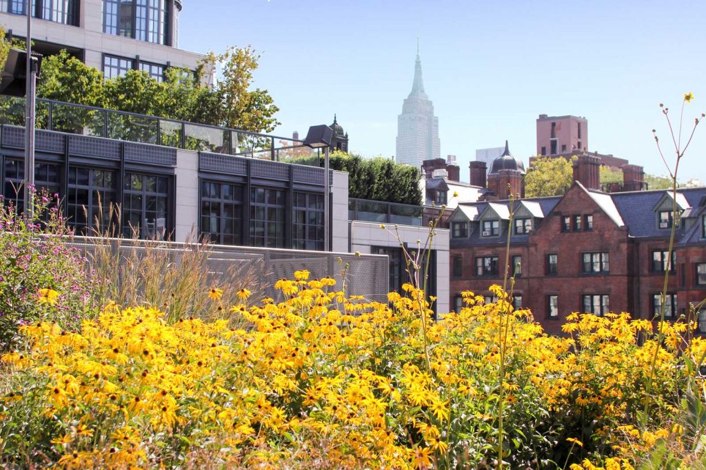 High Line and Chelsea Tour – New York
