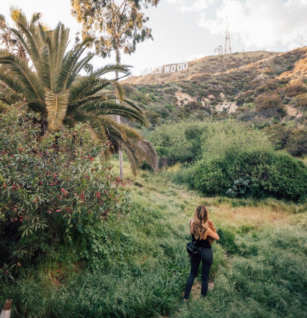 8 Attractions in Griffith Park for Art, Views, History, Fun – Blog