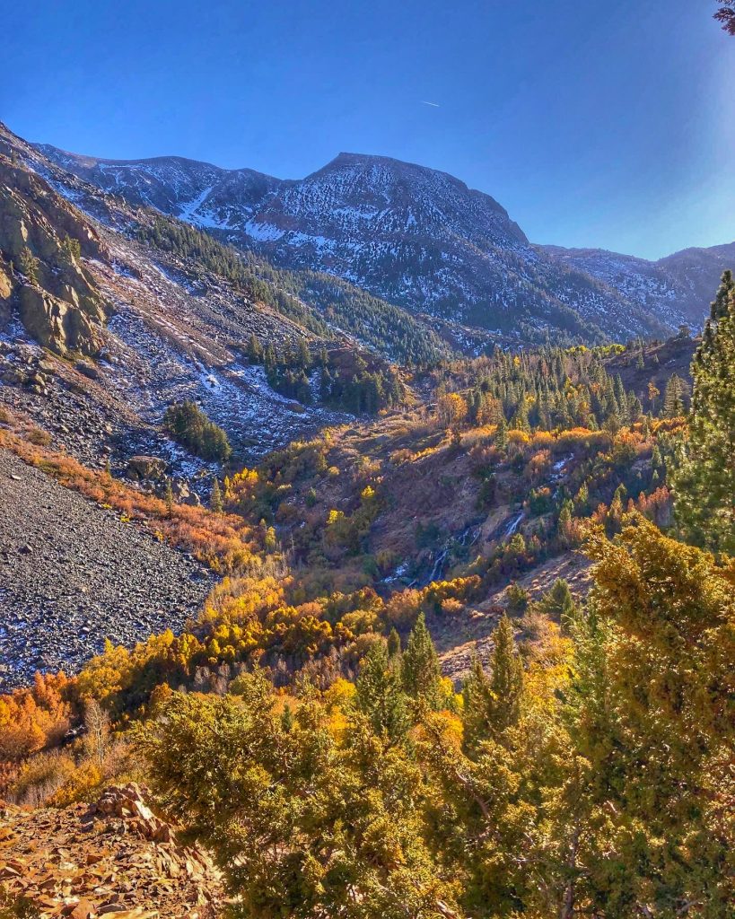 8 Places To See Fall Foliage in and Around San Francisco – Blog