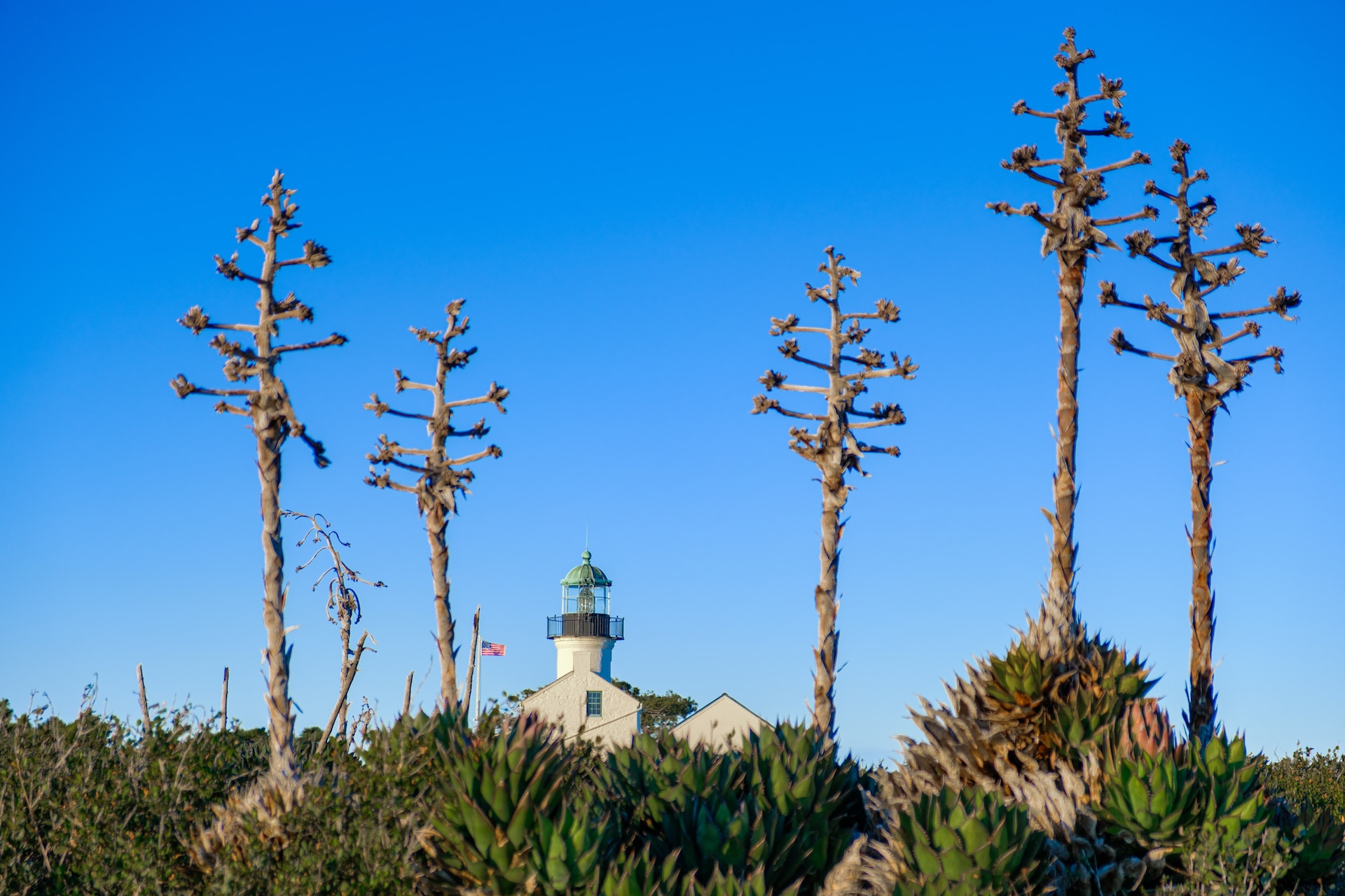 Cabrillo National Monument: History, Trails, and Tide Pools – Blog