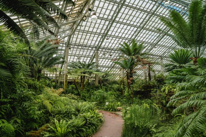 The Complete Guide to Garfield Park Conservatory for Travelers – Blog