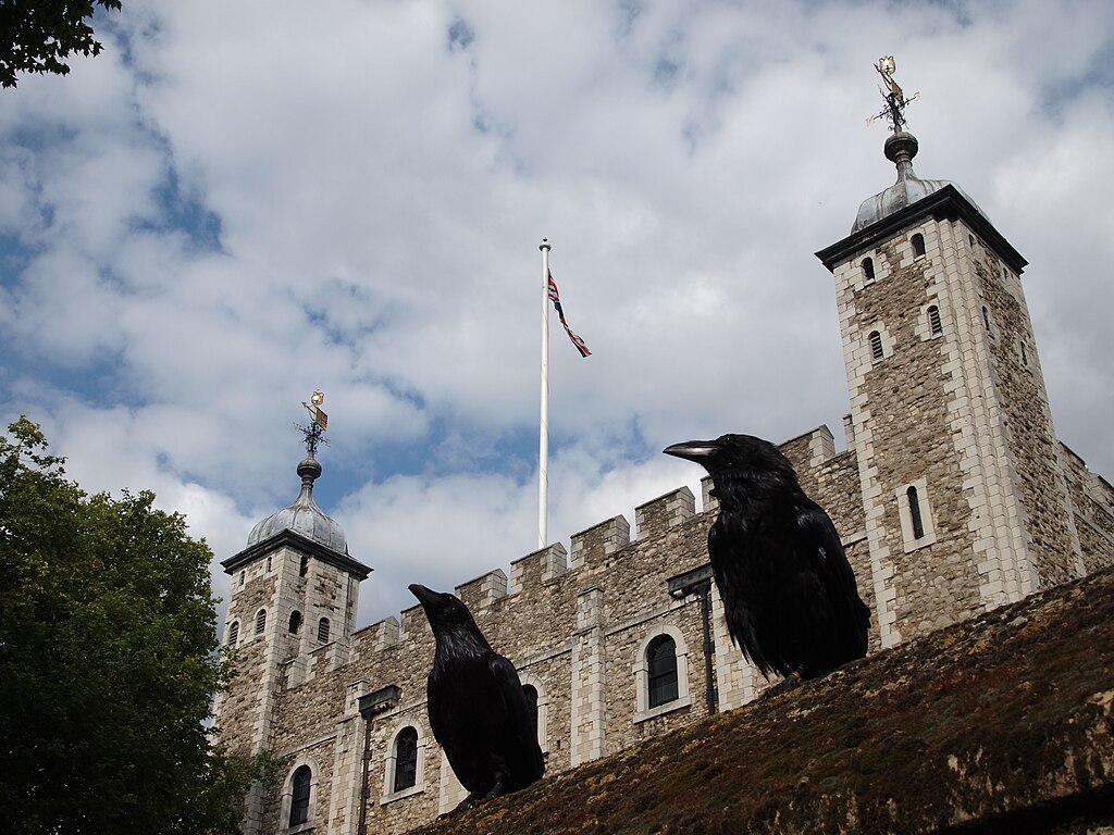 All About the Ravens at the Tower of London – Blog